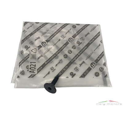 Original Fiat Ducato Ciroen Peugeot Torx T-30 M6 Metal Schraube 51810 ...